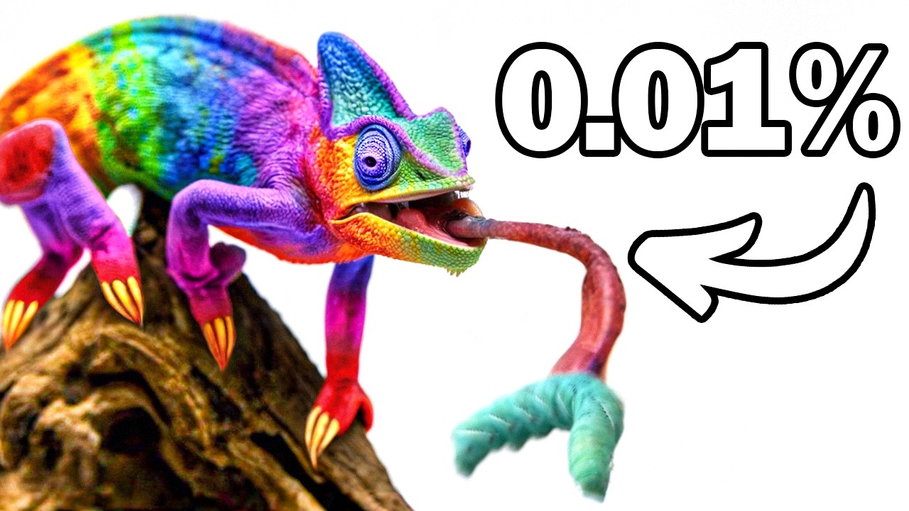 I got the rarest pet lizard