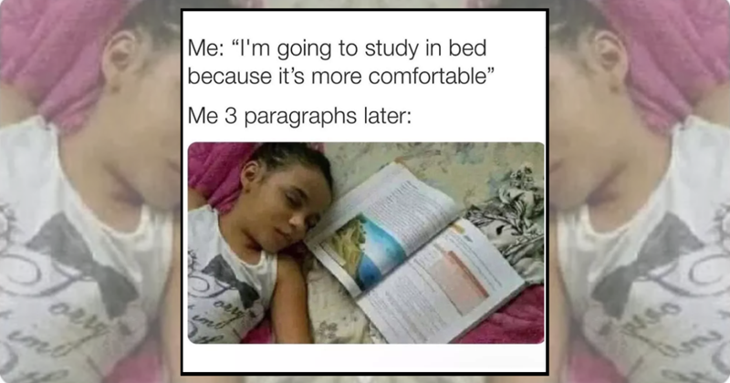23 relatable school memes for students counting down to the final bell