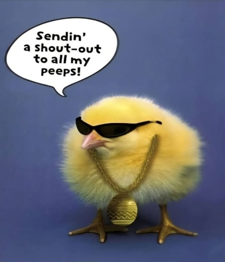 An April shower of wholesome animal memes to wrap your week in soft ...