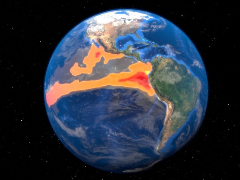 80% chance of El Nino developing June-August: UN