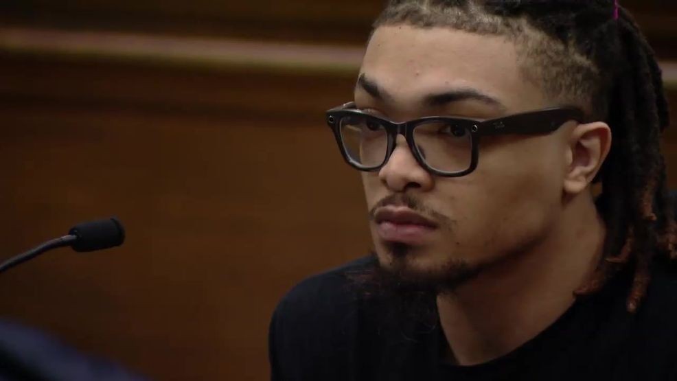 Former dog kennel worker pleads guilty in dog's beating death