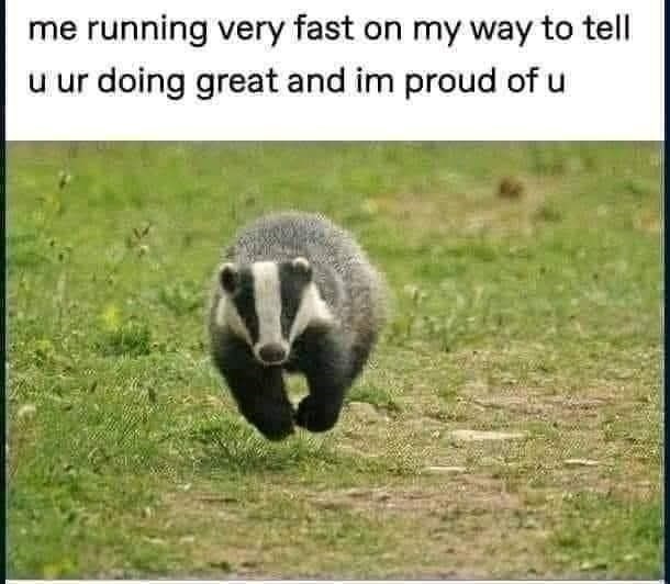 26 wildlife memes packed with wonderfully weird energy