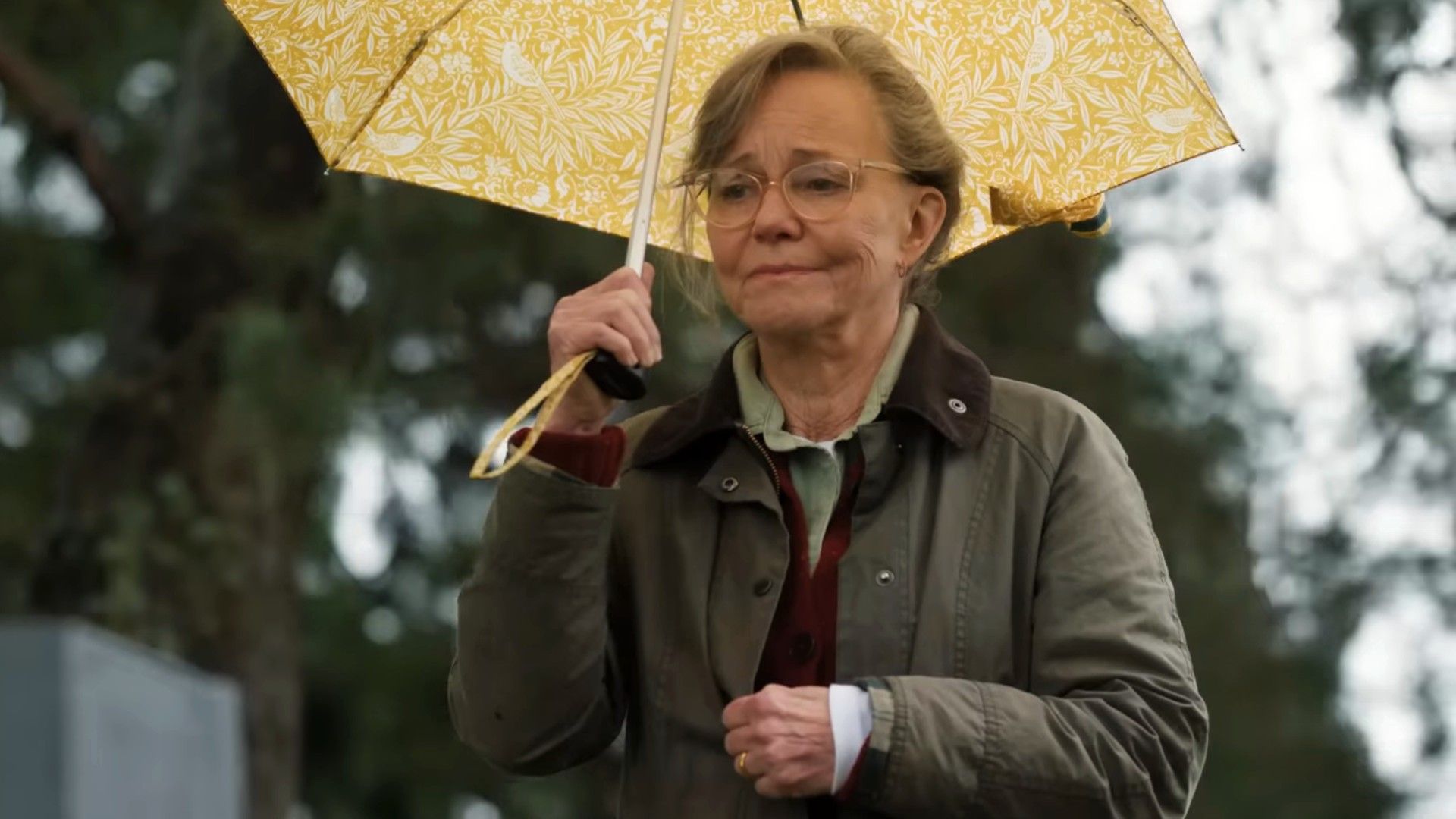 Netflix unveils Sally Field & Lewis Pullman's new movie based on ...