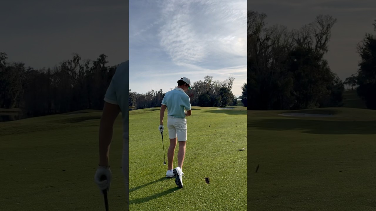 Alligator #golf #shorts