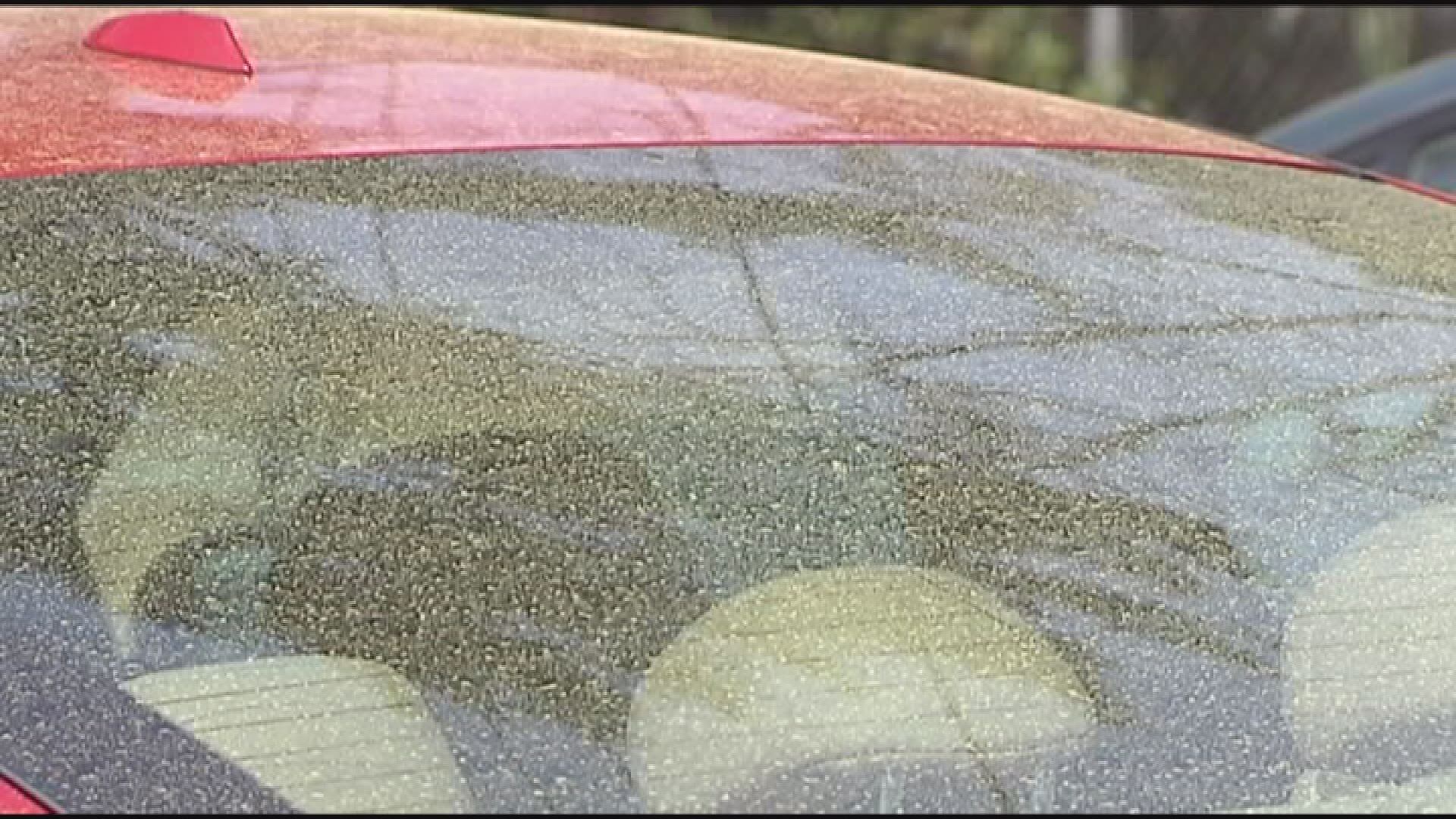 Here’s why pollen levels have ramped up across Middle Tennessee