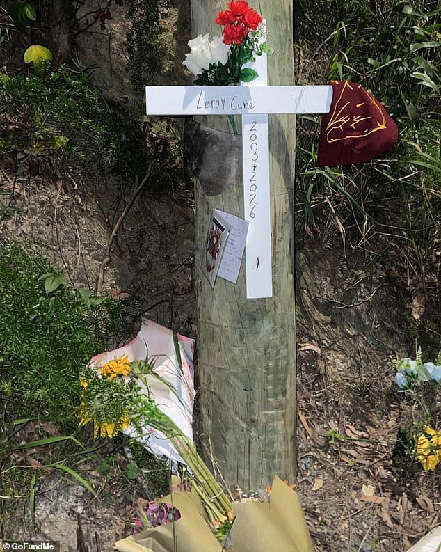 Leanne shared her pain six months after her son's death. An ...