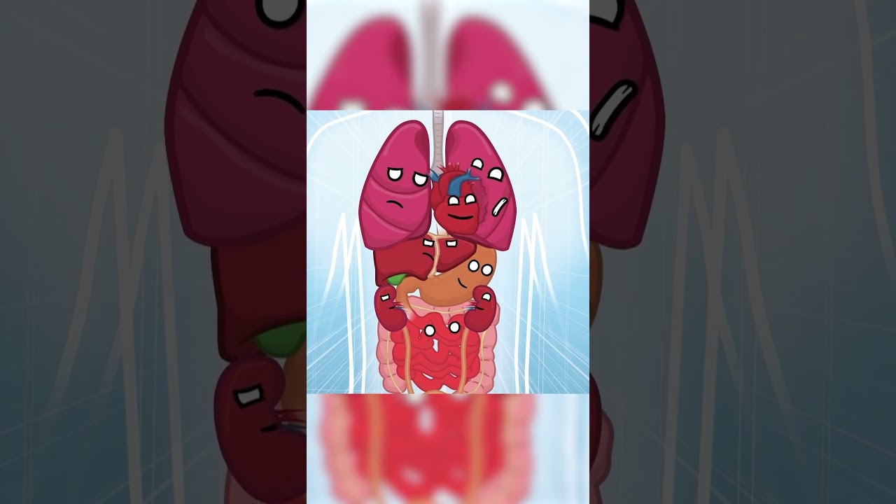 Discover the funny side of your stomach!