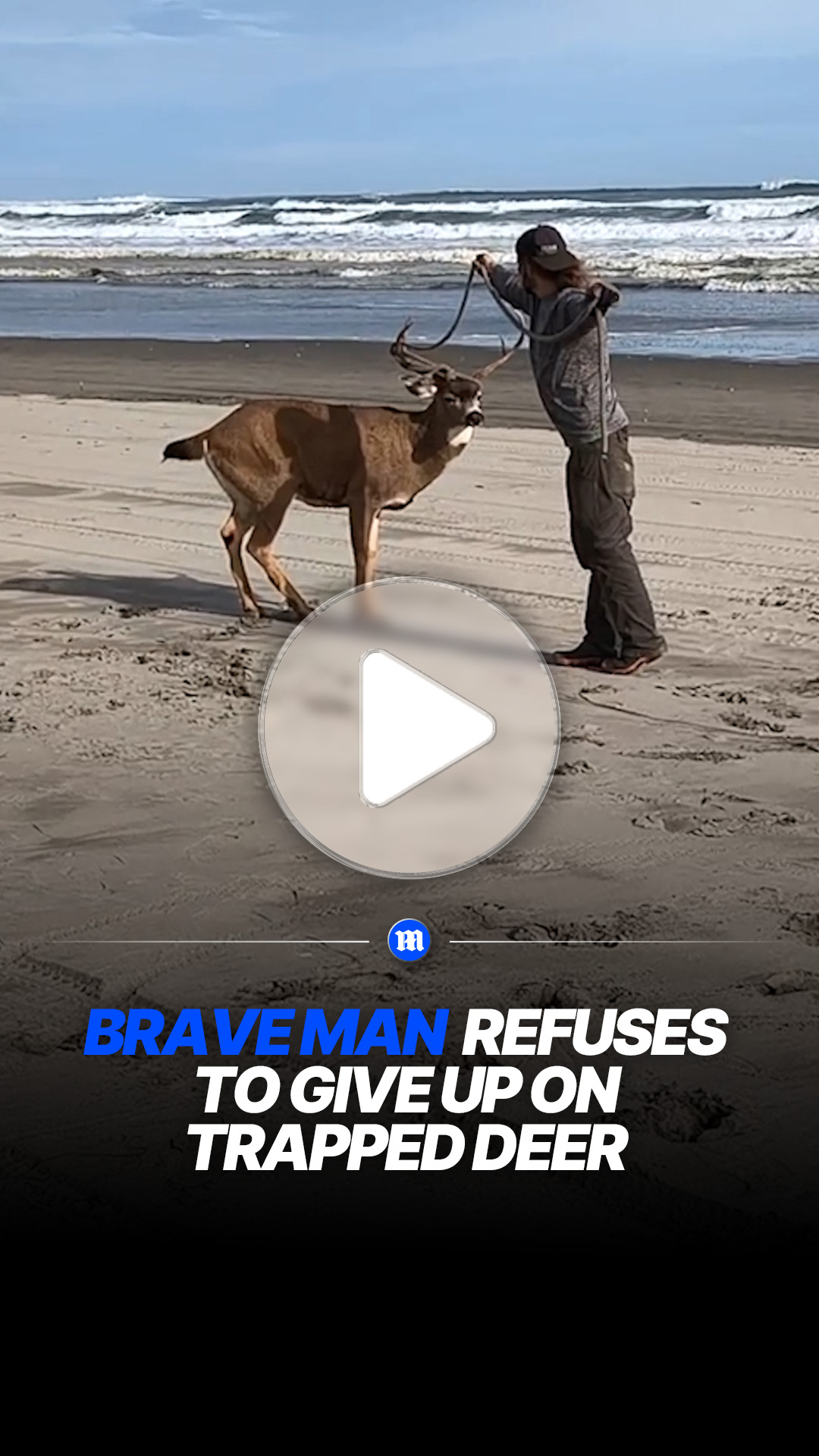 Man rescues distressed deer despite resistance