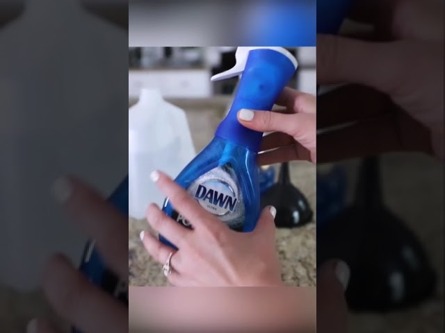 DIY Dawn Power Wash Spray… it's that easy!🤯