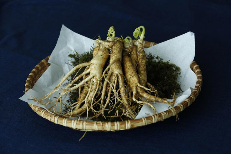 Black ginseng extract shows great efficacy against skin aging