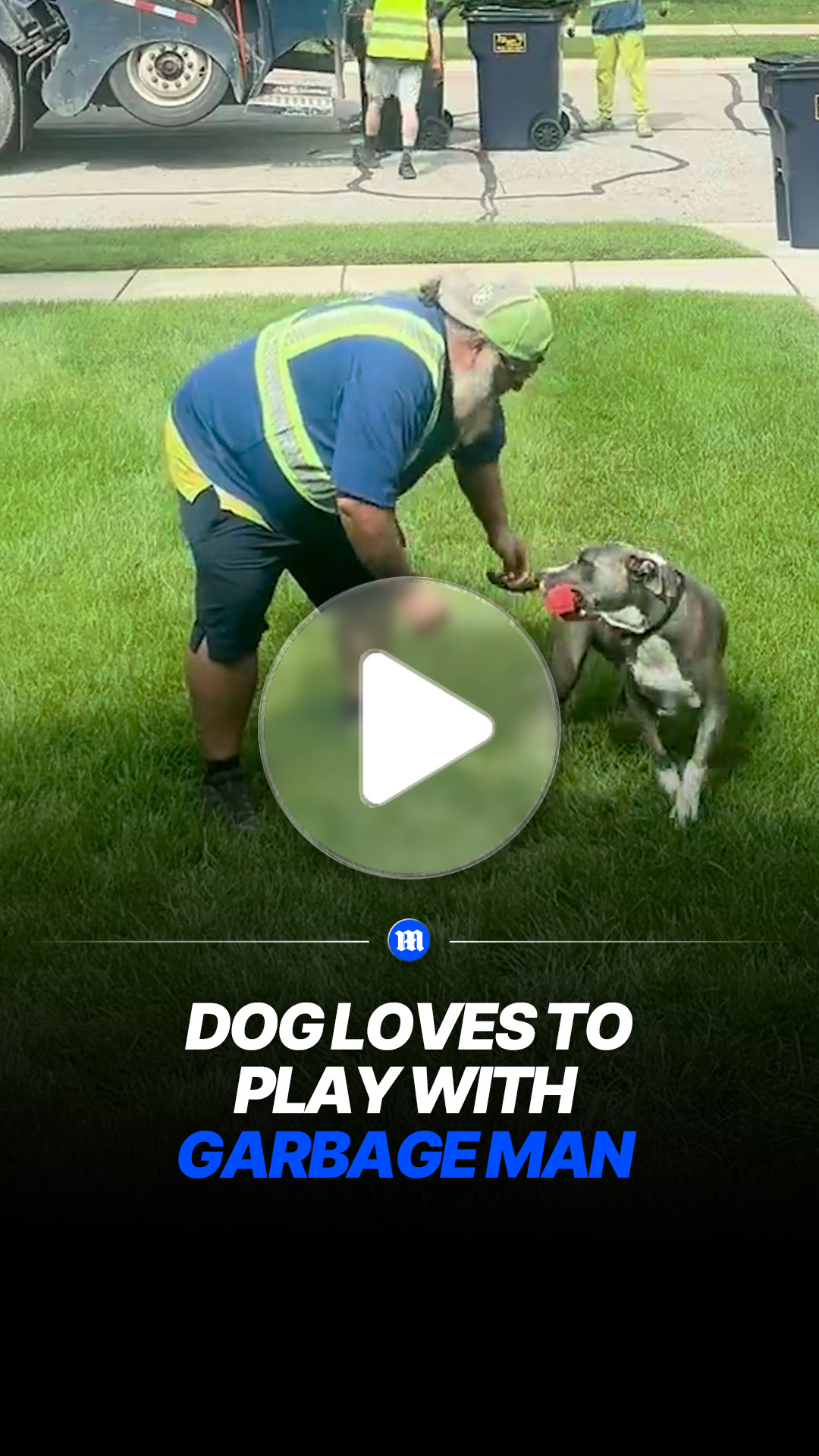 Dog waits daily to greet favorite garbage collector