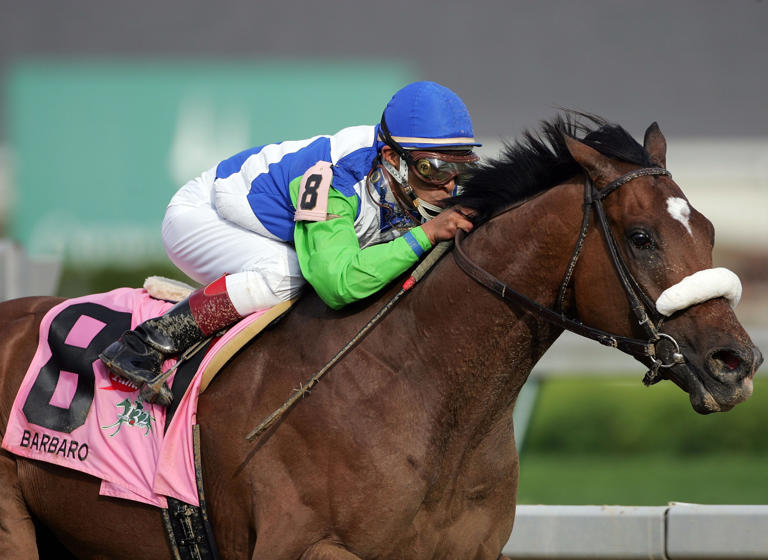 How Barbaro's tragic injury 20 years ago changed horseracing forever