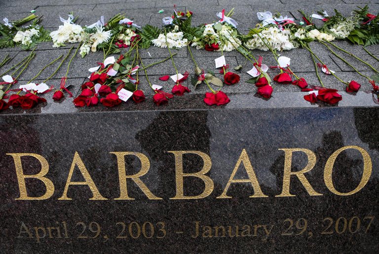 How Barbaro's tragic injury 20 years ago changed horseracing forever