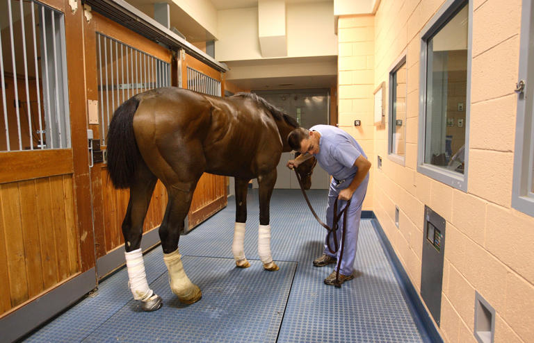 How Barbaro's tragic injury 20 years ago changed horseracing forever