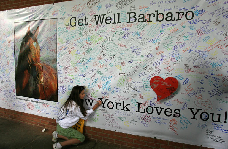 How Barbaro's tragic injury 20 years ago changed horseracing forever