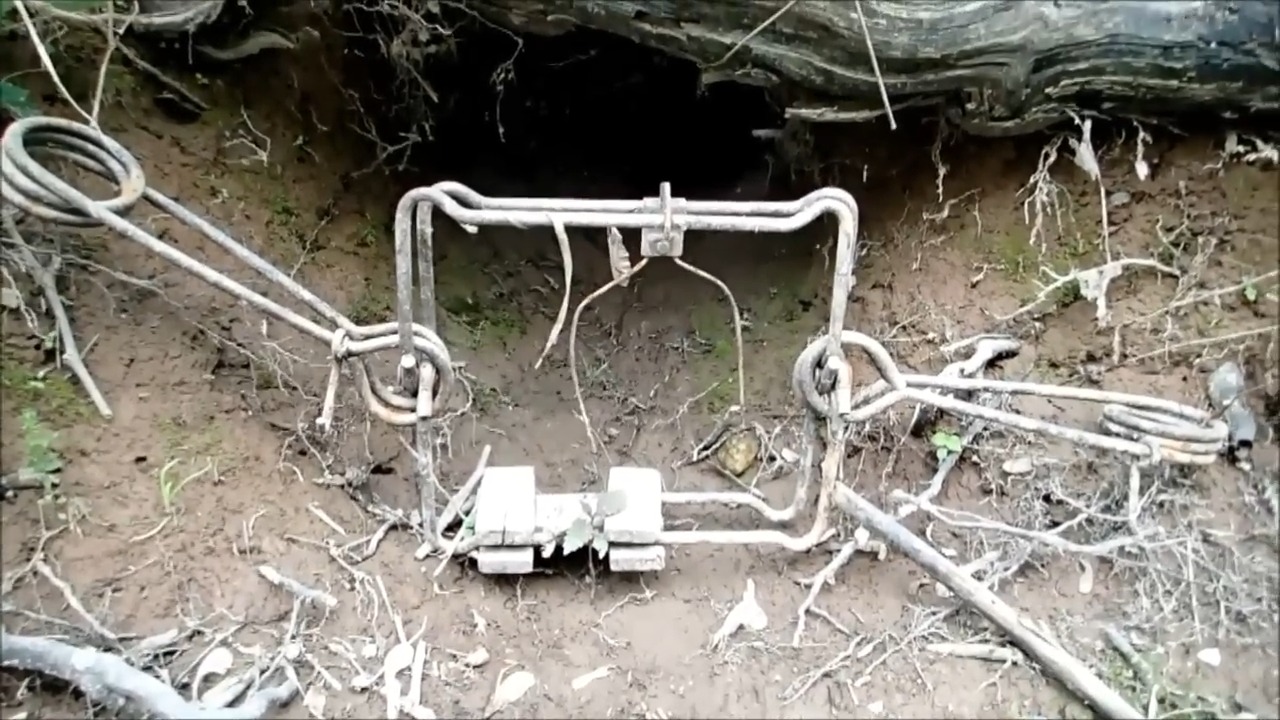 He found an illegal death trap still set on the riverbank - then ...