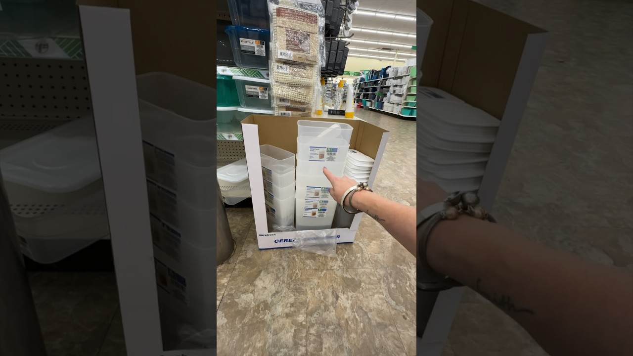 Dollar Tree sells that? 🤯 New organization line 🔥