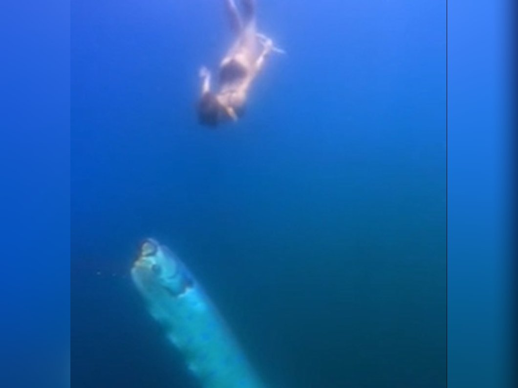 Diver has a rare encounter with the doomsday fish