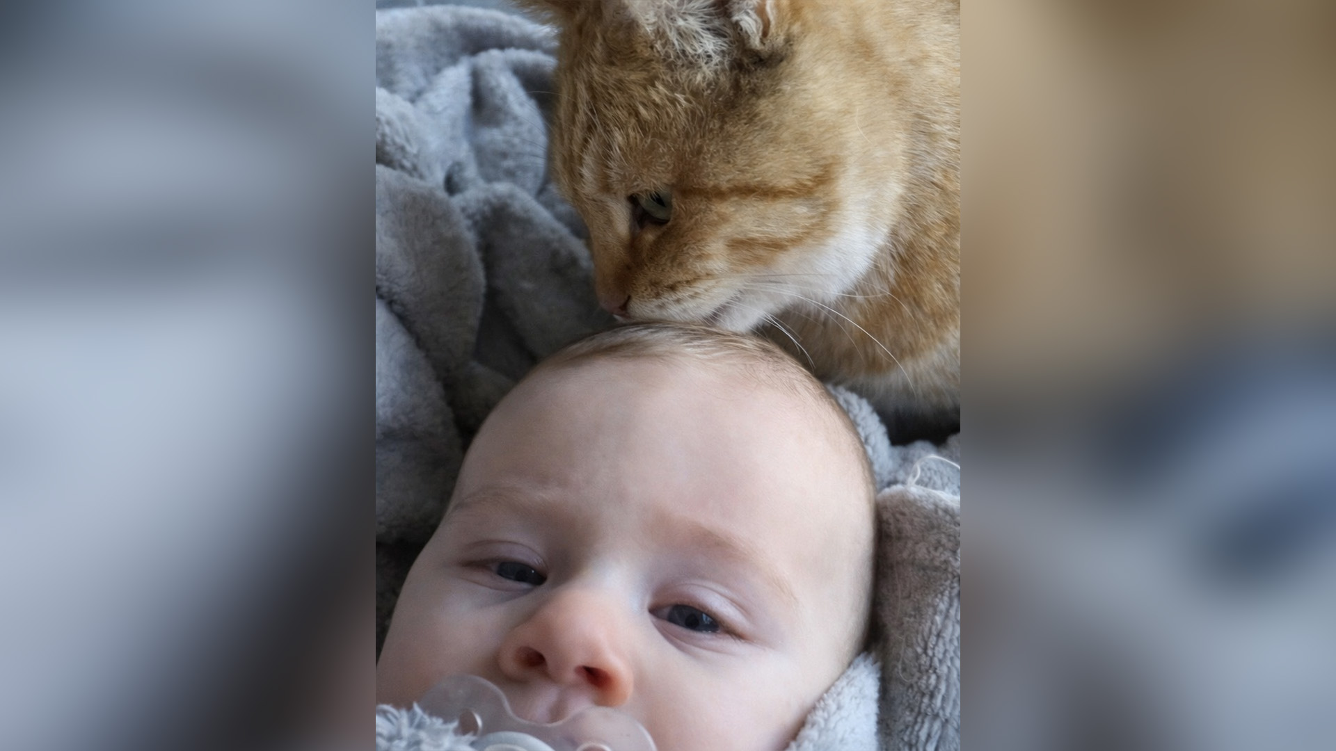 Cat protects baby in sweet quiet moment