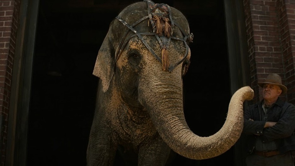 3 tonnes face à lui - secondes plus tard, l’éléphant attaque