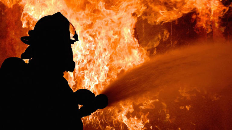 Waldbrandgefahr steigt in Brandenburg weiter: Zwei Landkreise besonders ...