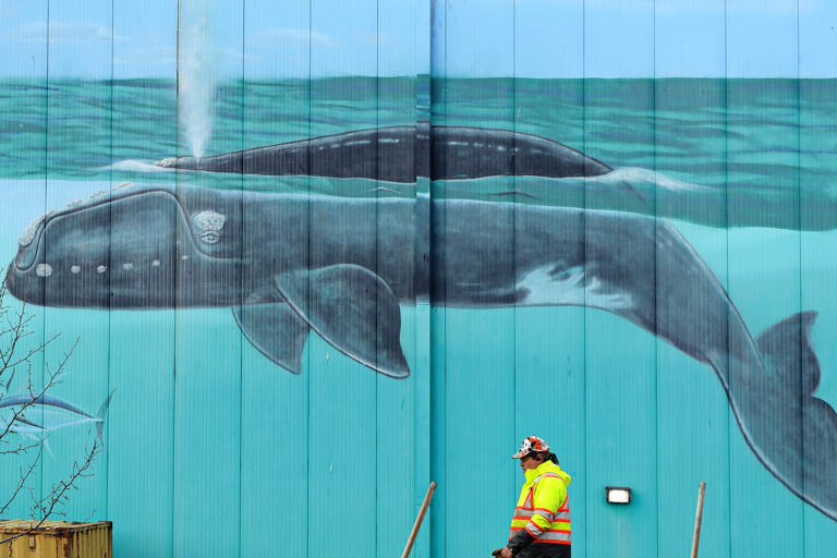 New Bedford’s whaling wall remains as Dallas loses beloved Wyland mural