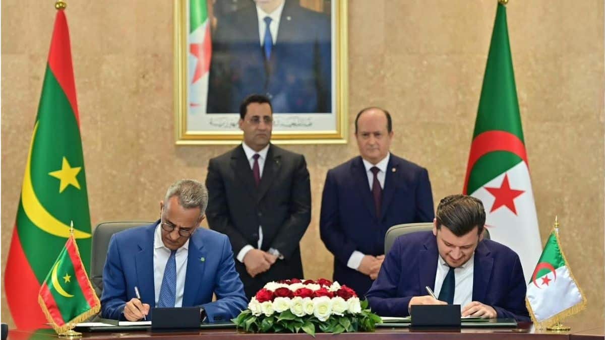 L’Algérie autorisée à pêcher 31.000 tonnes de poissons dans les eaux ...