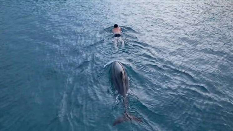 This is what happens when people say great whites are going to start ...