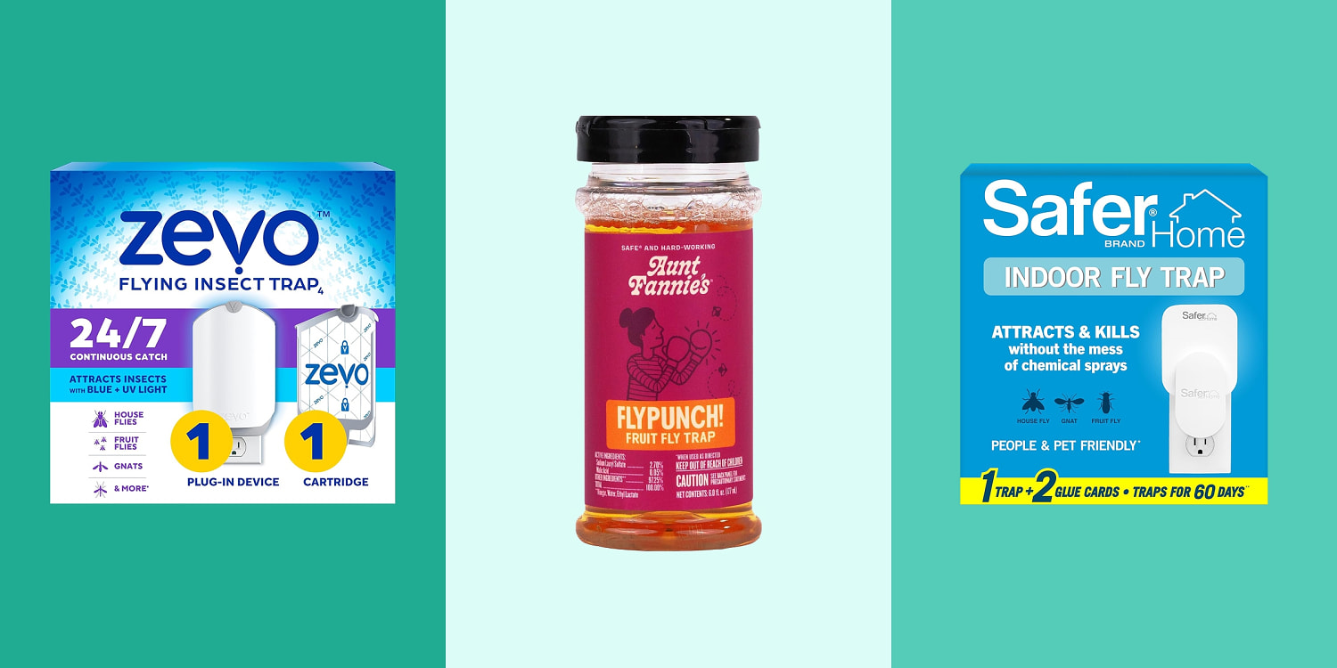 How to get rid of flies and other flying insects at home, according to pros