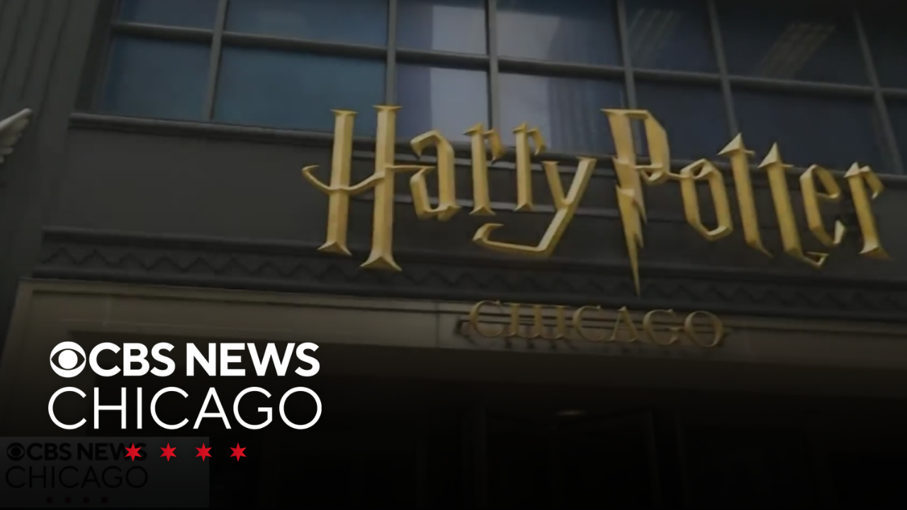 Harry Potter Shop marks one year in Chicago