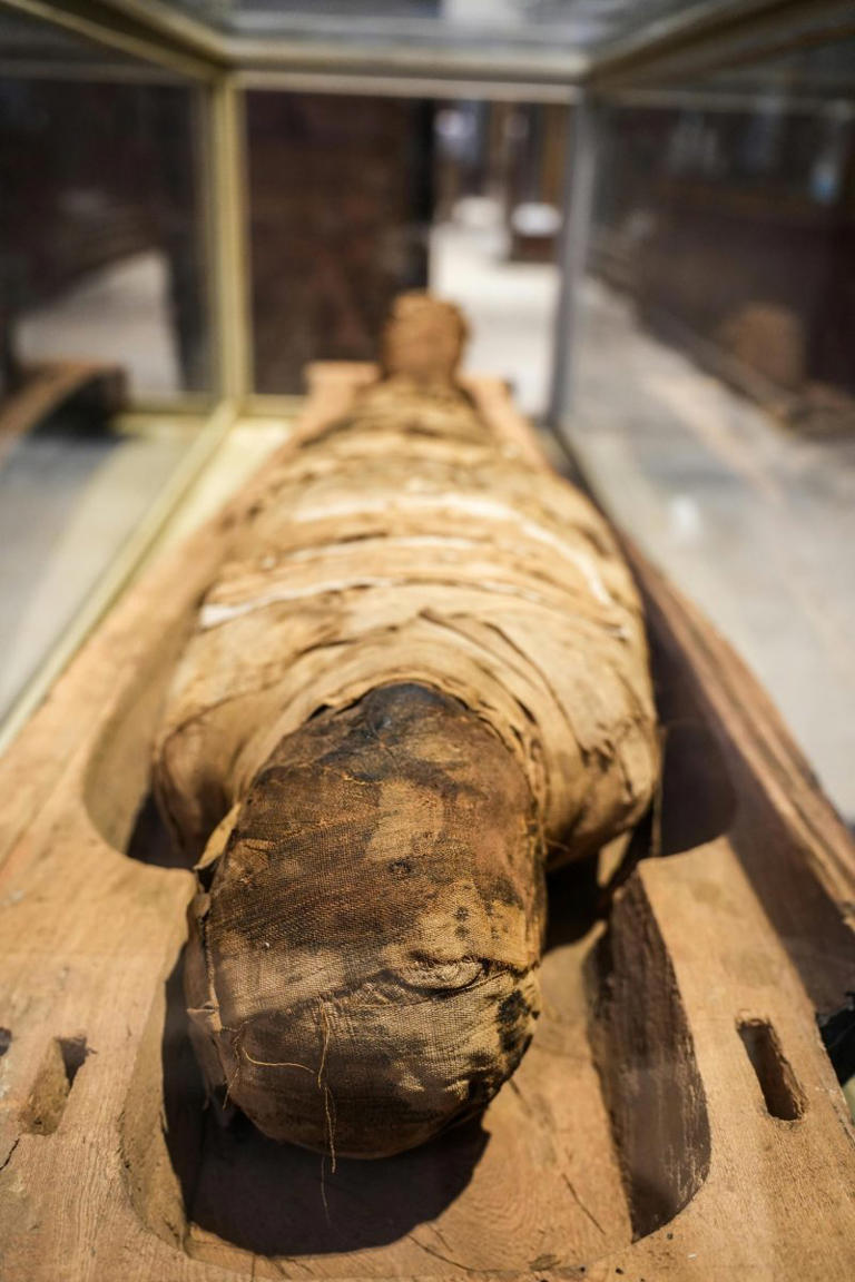 Scientists found 7,000-year-old mummies that don’t share human DNA