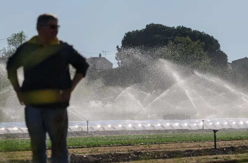 Punjab launches Rs 1.45 crore irrigation projects in Shutrana