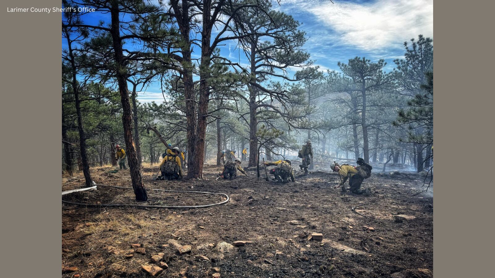 Wildfire sparks in Larimer County early Wednesday, prompting mandatory ...