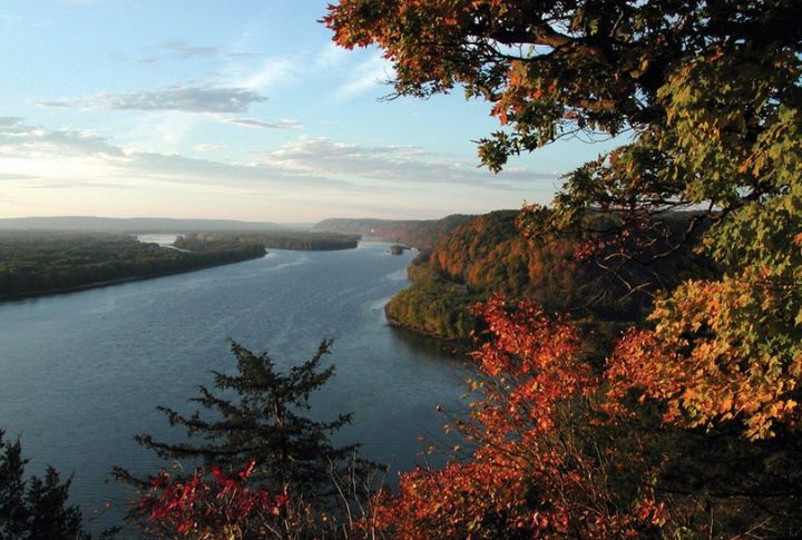 10 American rivers where sharks have made surprising journeys inland