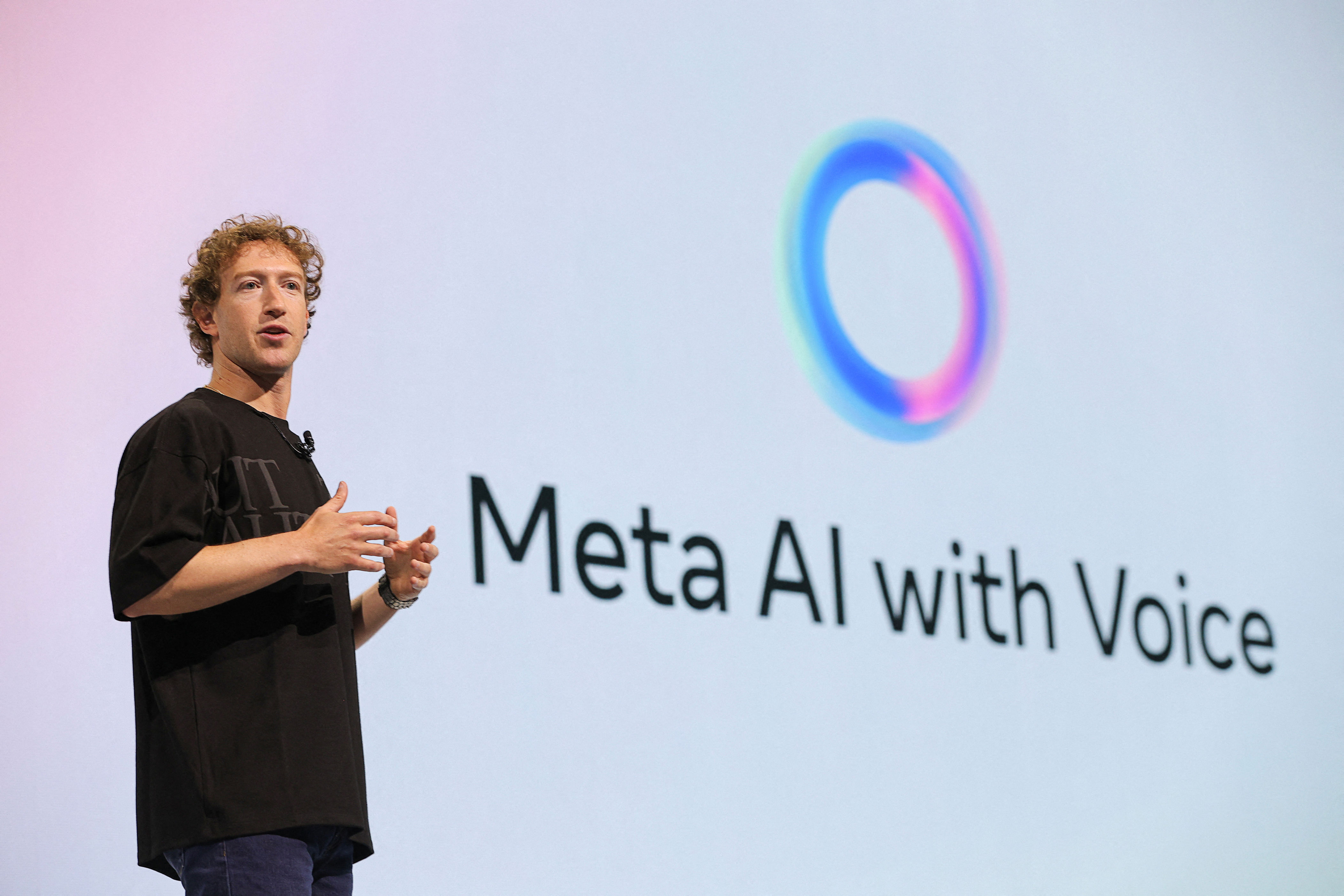 Meta's Spark model gets lavished with Wall Street praise