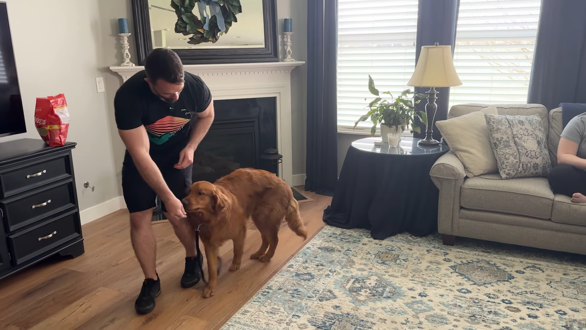 The Early Dog Training Steps Most People Skip Are Often the Ones That ...