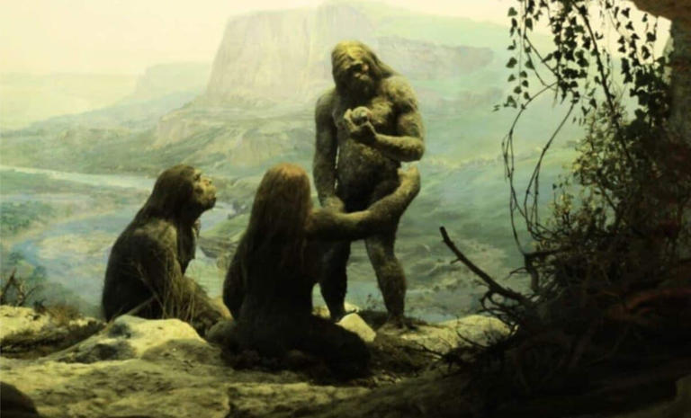 DNA has spoken: Scientists have finally found the date early humans ...