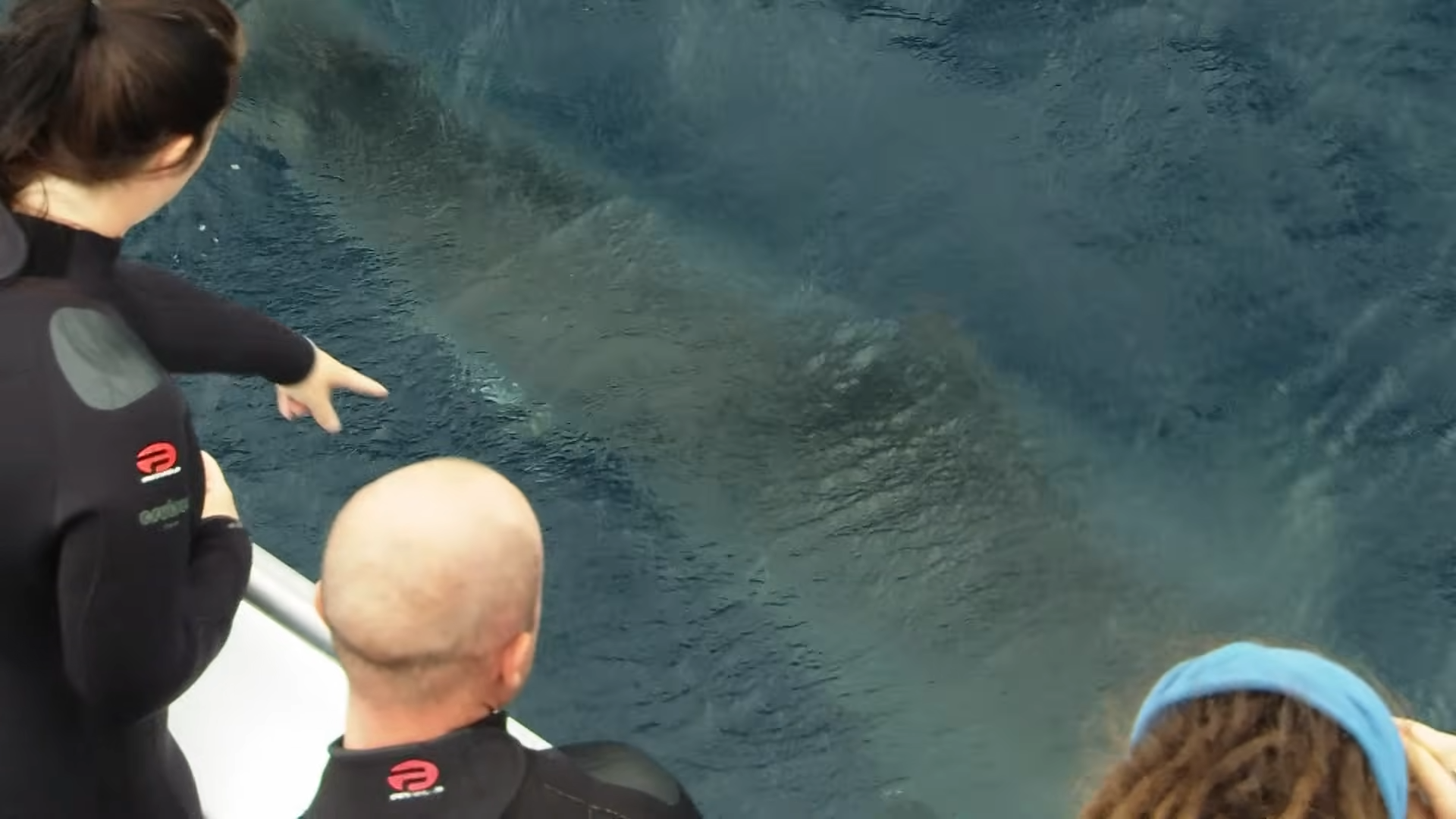 They knew something terrifying was in the water - but this was worse ...