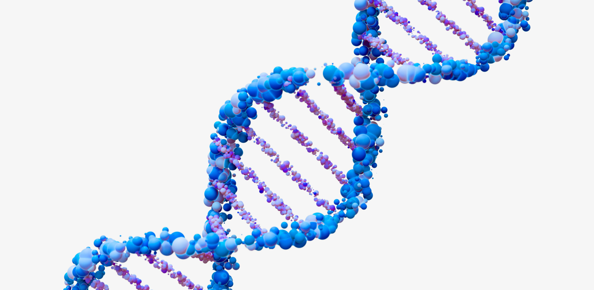 What is the selfish gene theory?