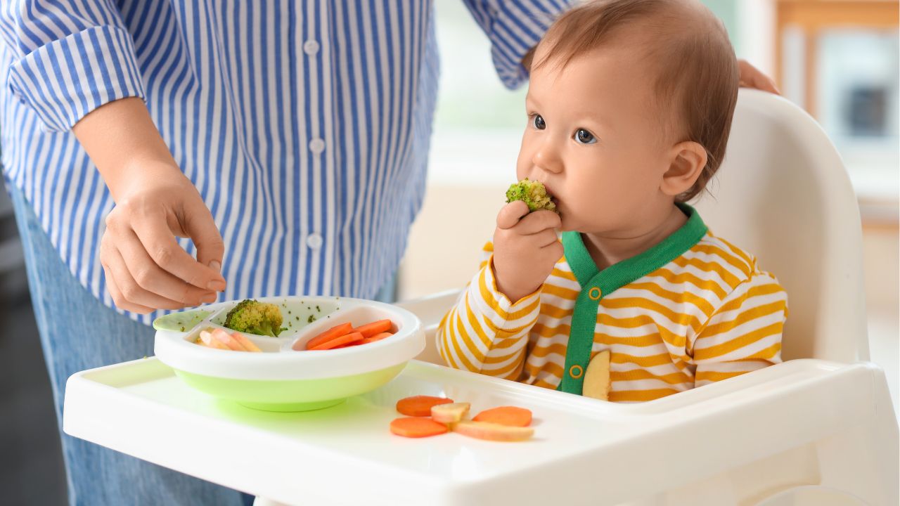 My family called me 'cruel' for raising my baby vegetarian. Now I'm ...