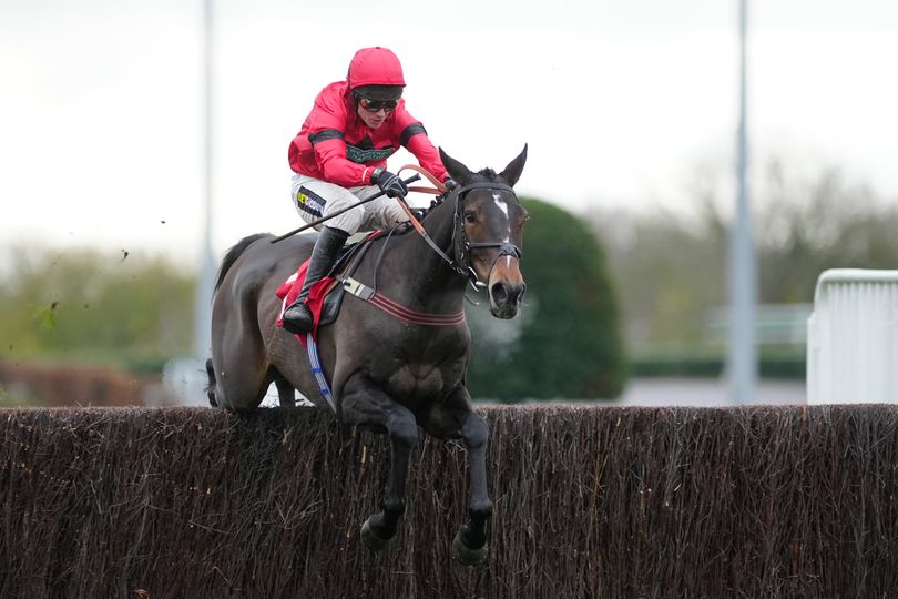 Horse pulled up at finish line at Aintree as ITV issue health condition ...