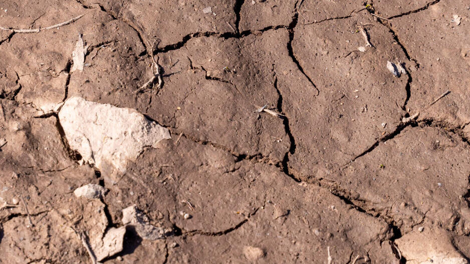 Lehmiger Boden Wasser Versickert Nicht