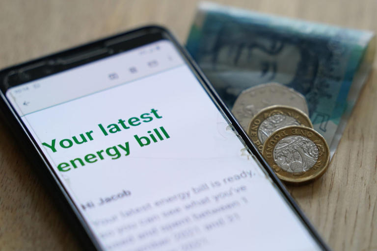 Britons could face higher household bills for years to come, MP warns
