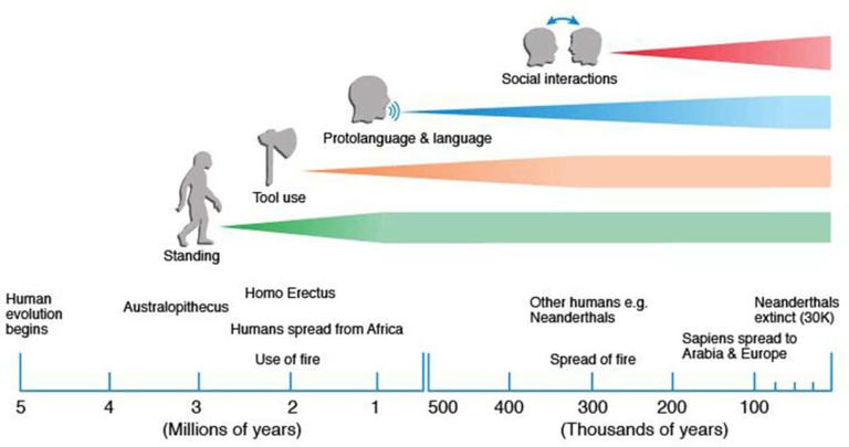 DNA has spoken: Scientists have finally found the date early humans ...