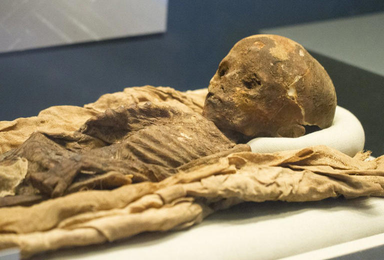Scientists found 7,000-year-old mummies that don’t share human DNA