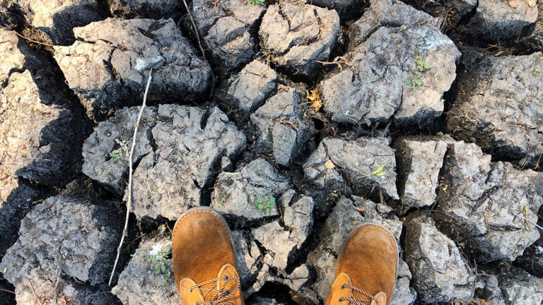 Komt een super-El Niño het weer verstoren? "Staat zo goed als vast dat ...