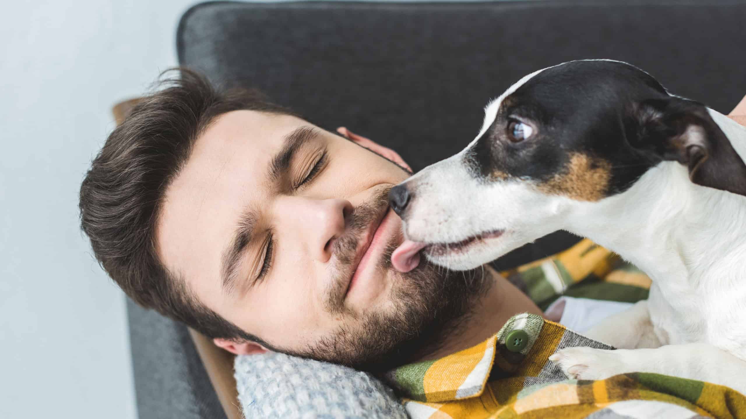 When a dog knows it is going to pass away, it leaves 8 signs for its owners