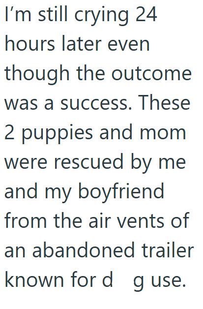 Puppies saved from air vent after dog mom alerted rescuers to abandoned ...