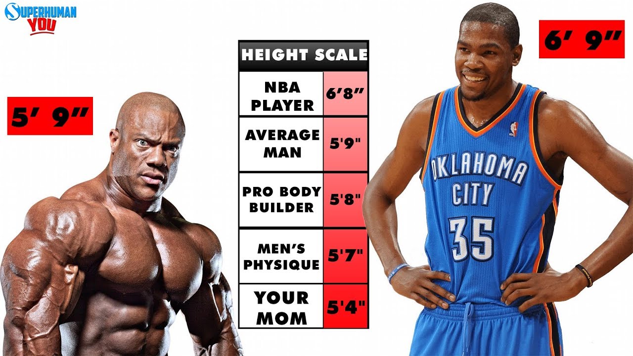 Do short guys build muscle easier? Kevin Durant vs. Phil Heath