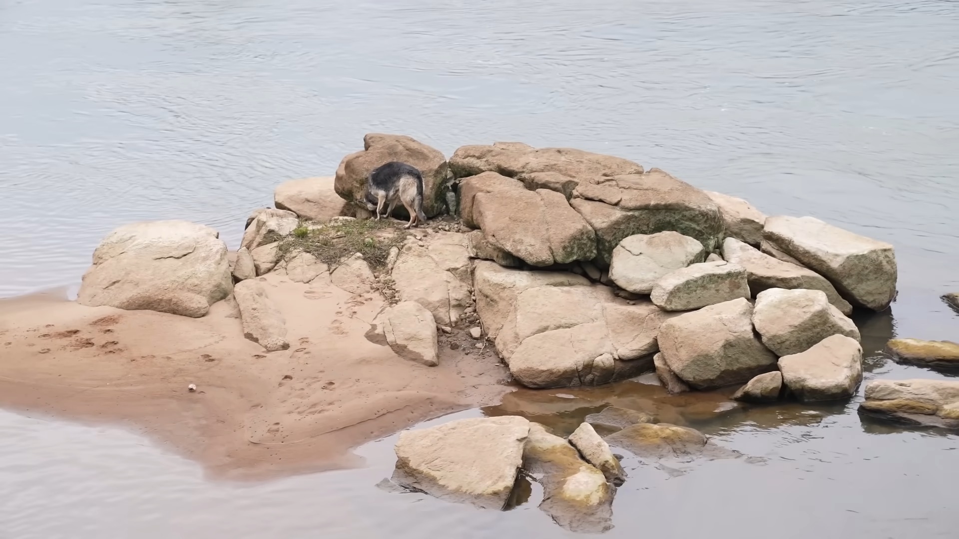 He drained the river looking for valuables - then found a bottle full ...